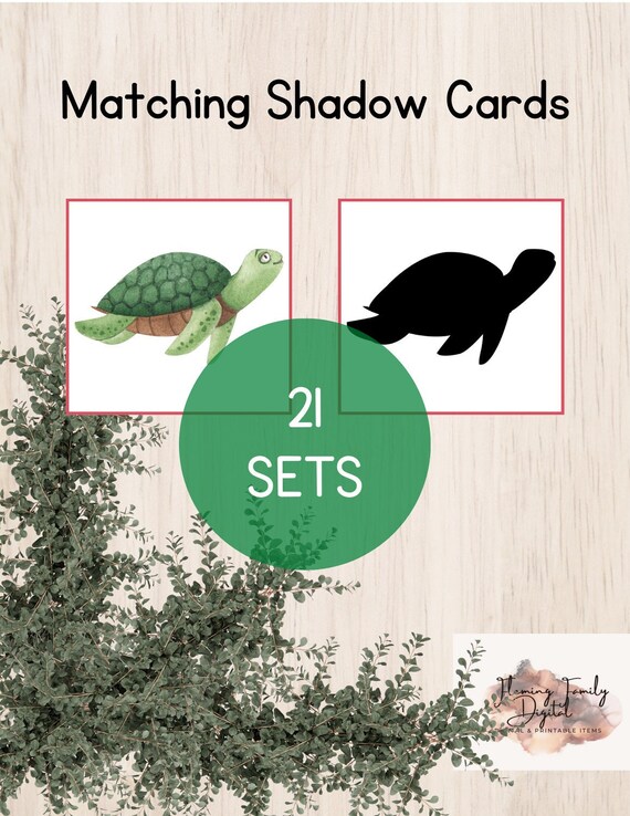 Printable Summertime Matching Shadow Cards. Montessori Style. - Etsy