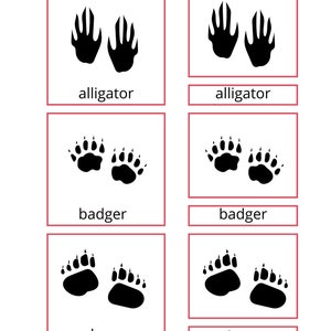 Printable 3-part Cards - Animal Footprints. Identifying Footprints ...