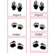 Printable 3-part Cards - Animal Footprints. Identifying Footprints ...