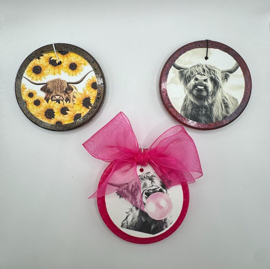 Highland Cow Freshies // Western Freshie // Girl Freshies //freshie ...