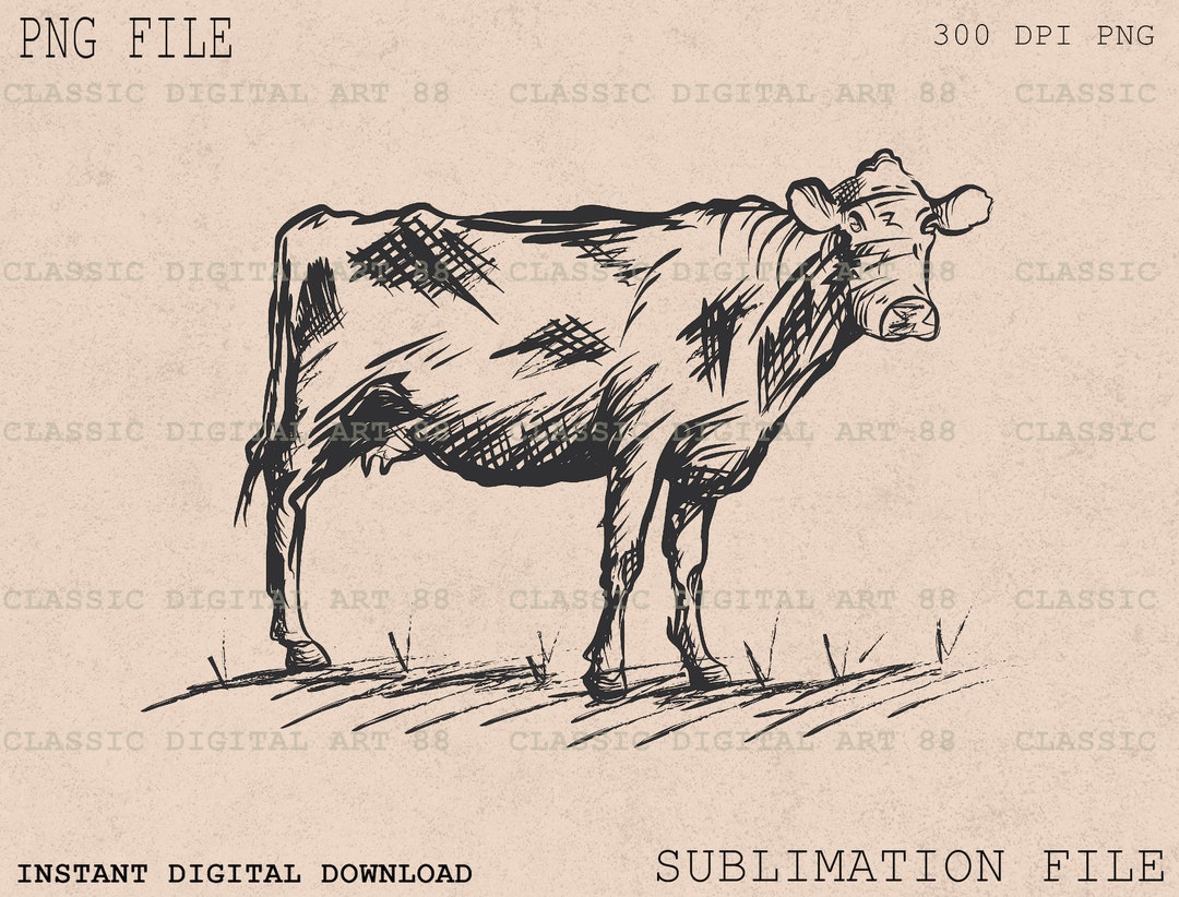 Cattle Cow Western Graphics, Western Png, Western Sublimation, Western ...