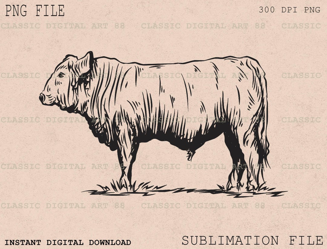 Cow Western Desert, Hand Drawn Farm Cow PNG, Cattle Png, Western ...