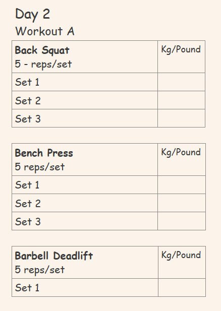 Starting Strength Training Program - Etsy