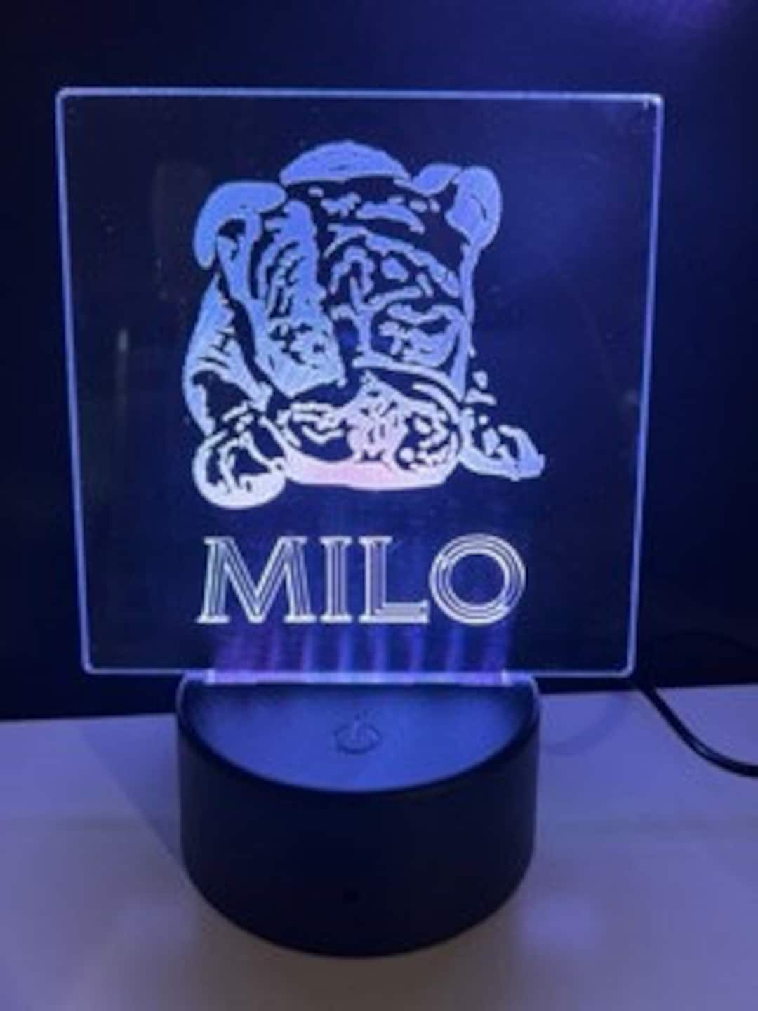 Custom Acrylic Light - Etsy