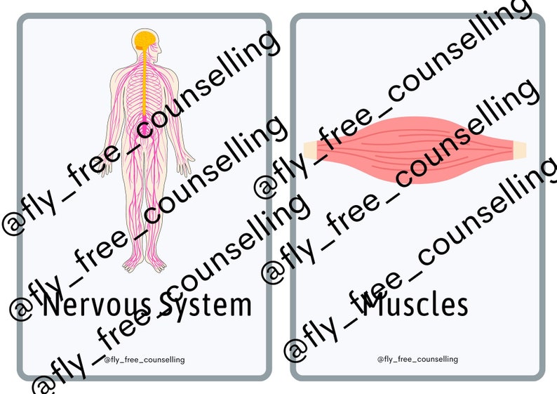 Emotions and the Body Flashcards // Home Schooling, Emotional ...