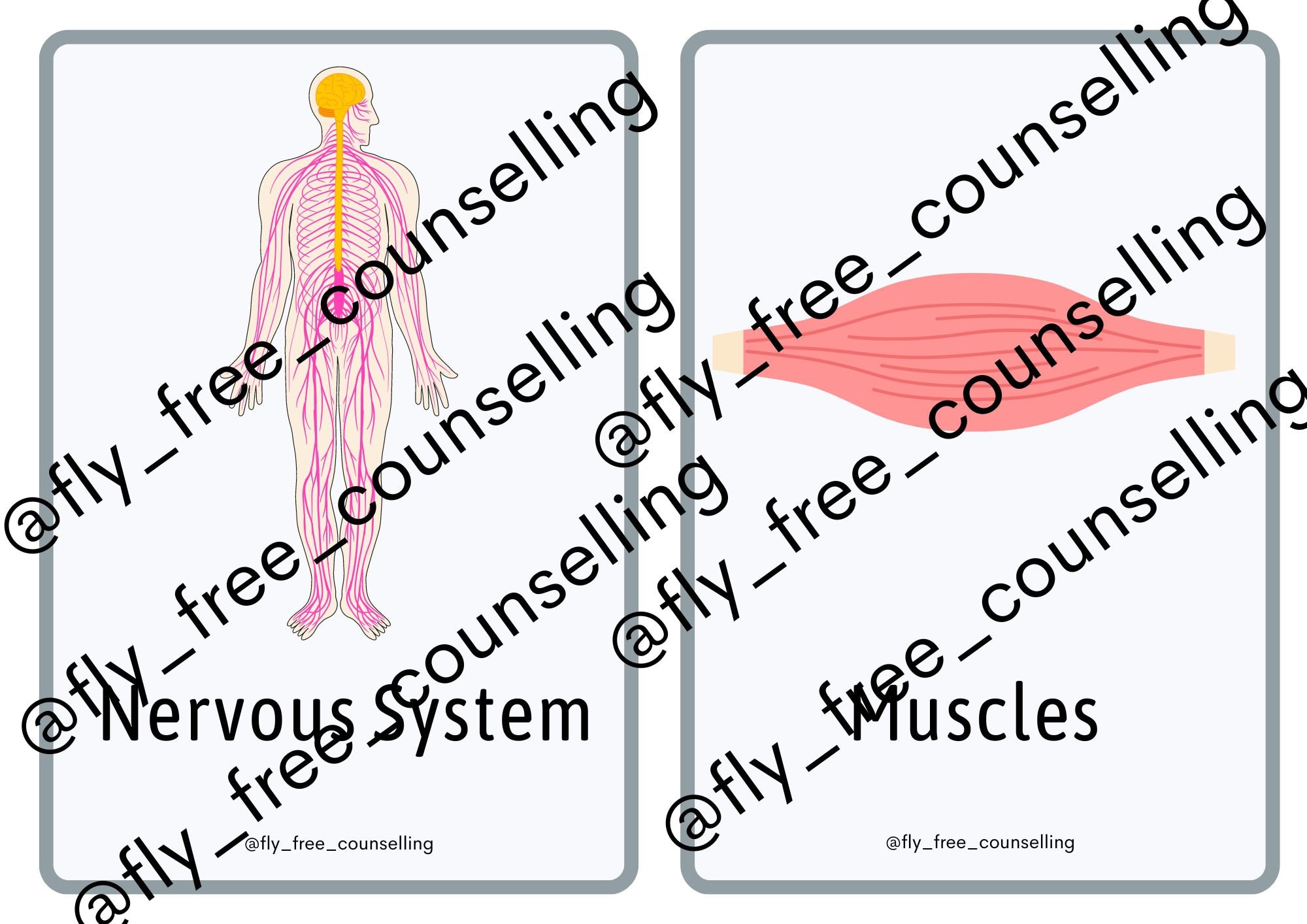 Emotions and the Body Flashcards // Home Schooling, Emotional ...