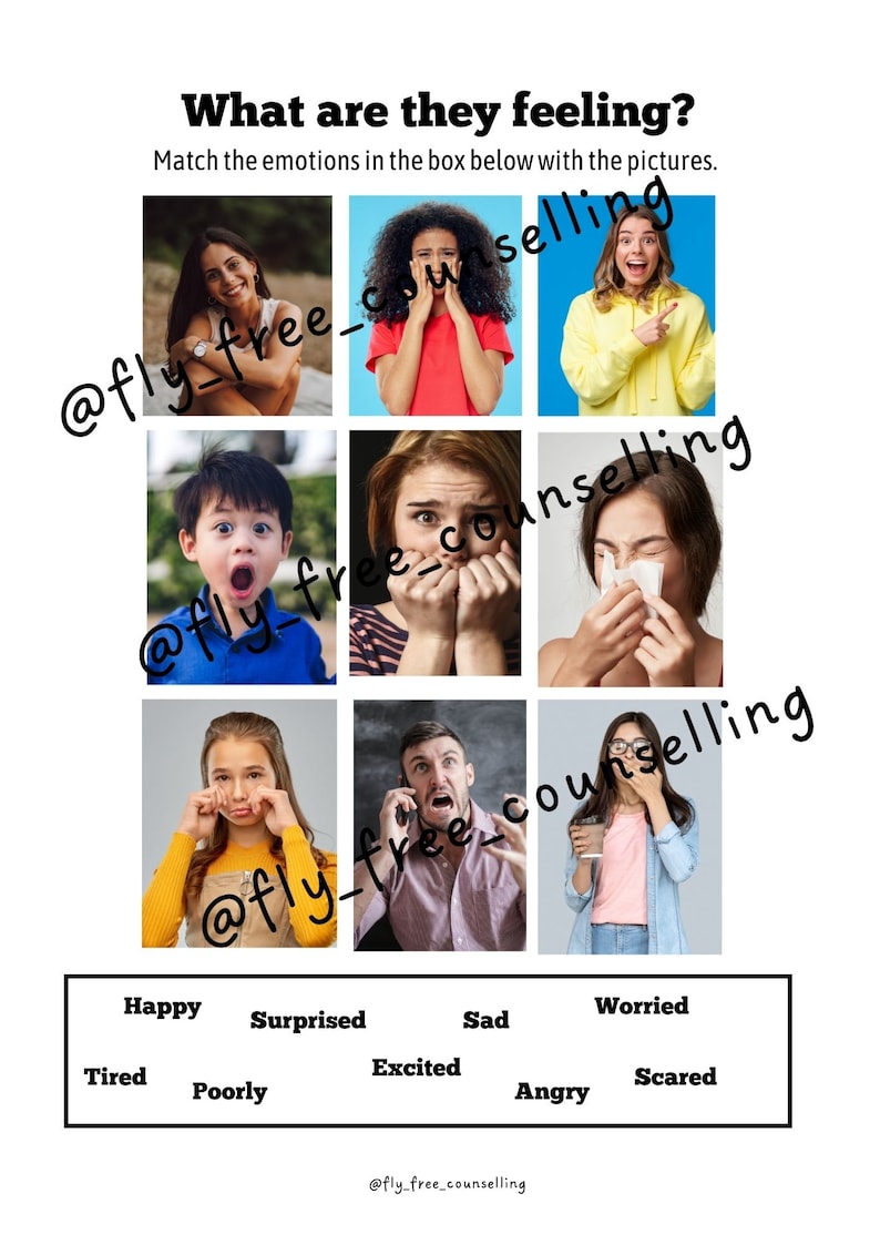 Zones Of Regulation Bundle Digital Downloads Social And Emotional