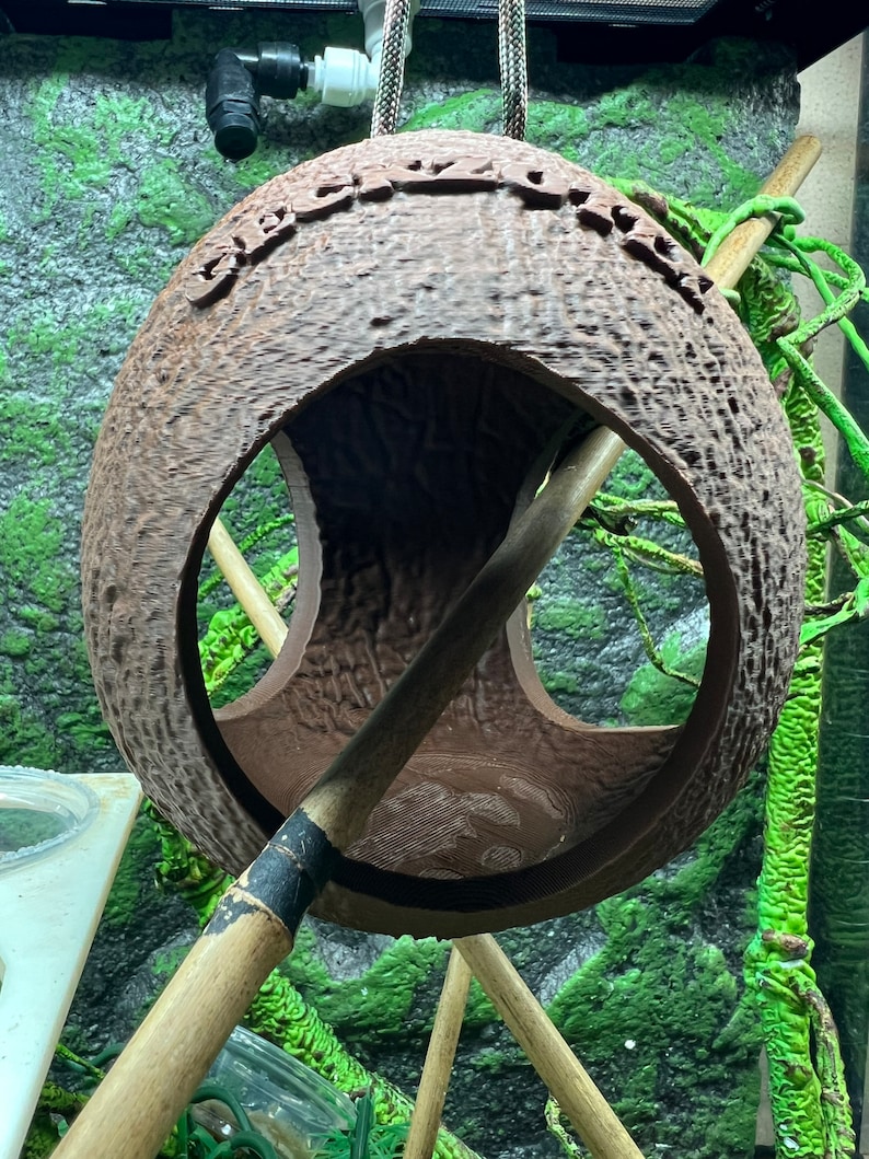 Hanging Coconut Hide - Etsy