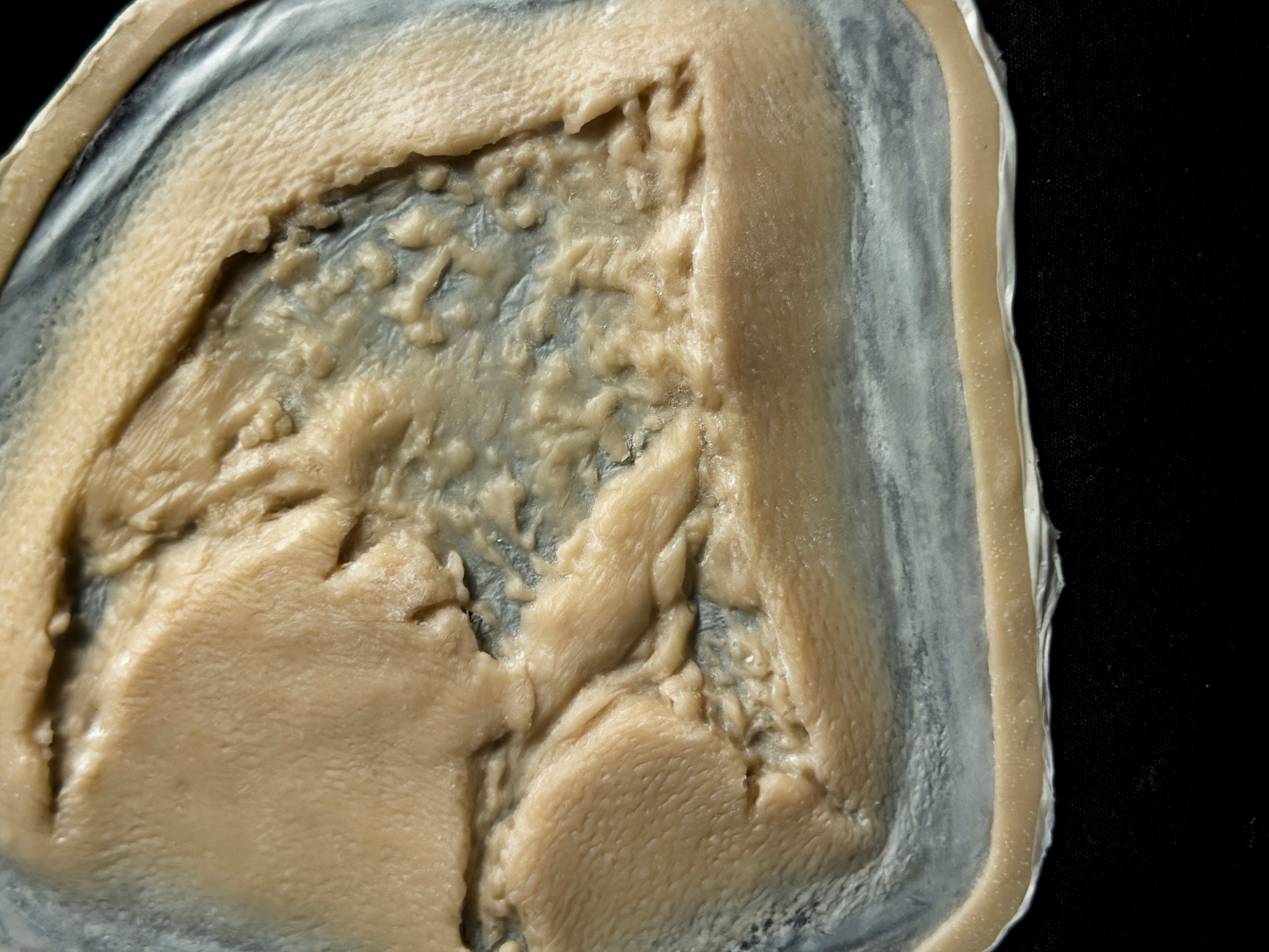 Prosthetic Wound ripped Skin - Etsy