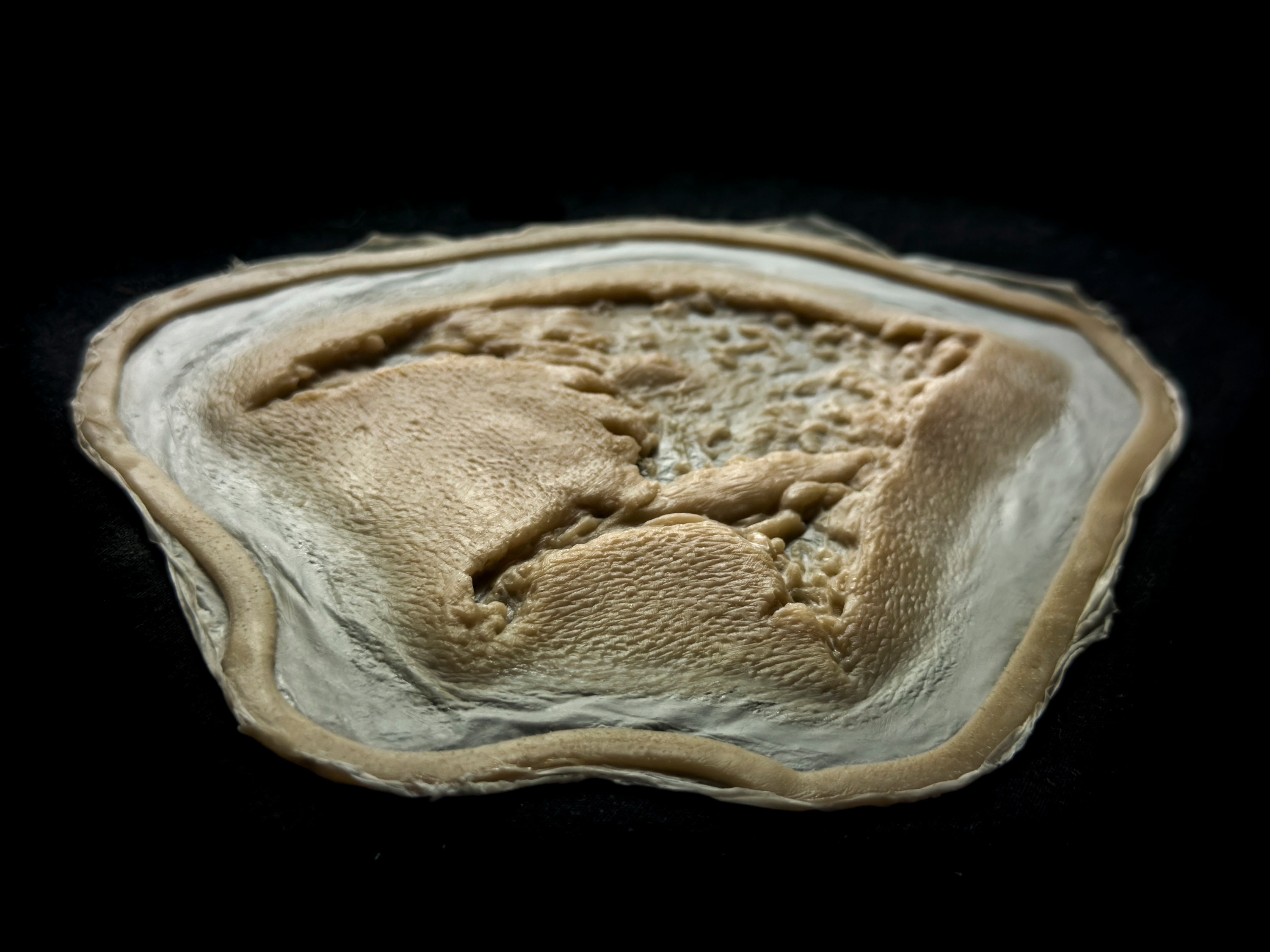 Prosthetic Wound ripped Skin - Etsy