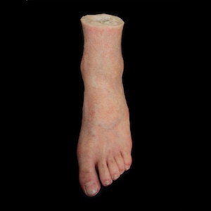 Hyperrealistic Human Left Foot / Man/ Lifesize - Etsy Australia