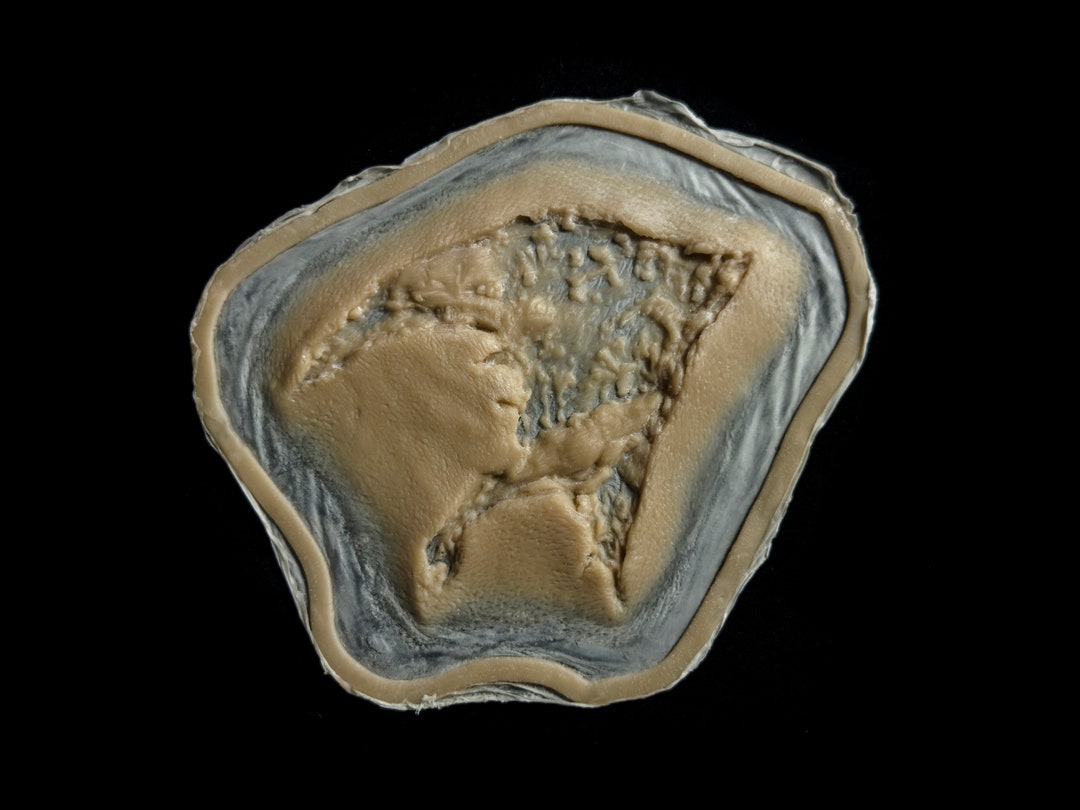 Prosthetic Wound (ripped Skin) - Etsy