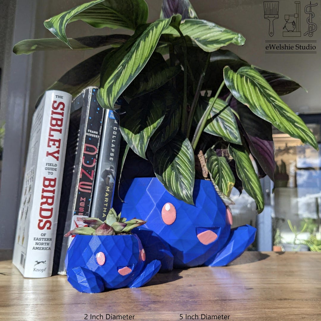 Oddish Pokemon Planter, 3D Printed - Etsy
