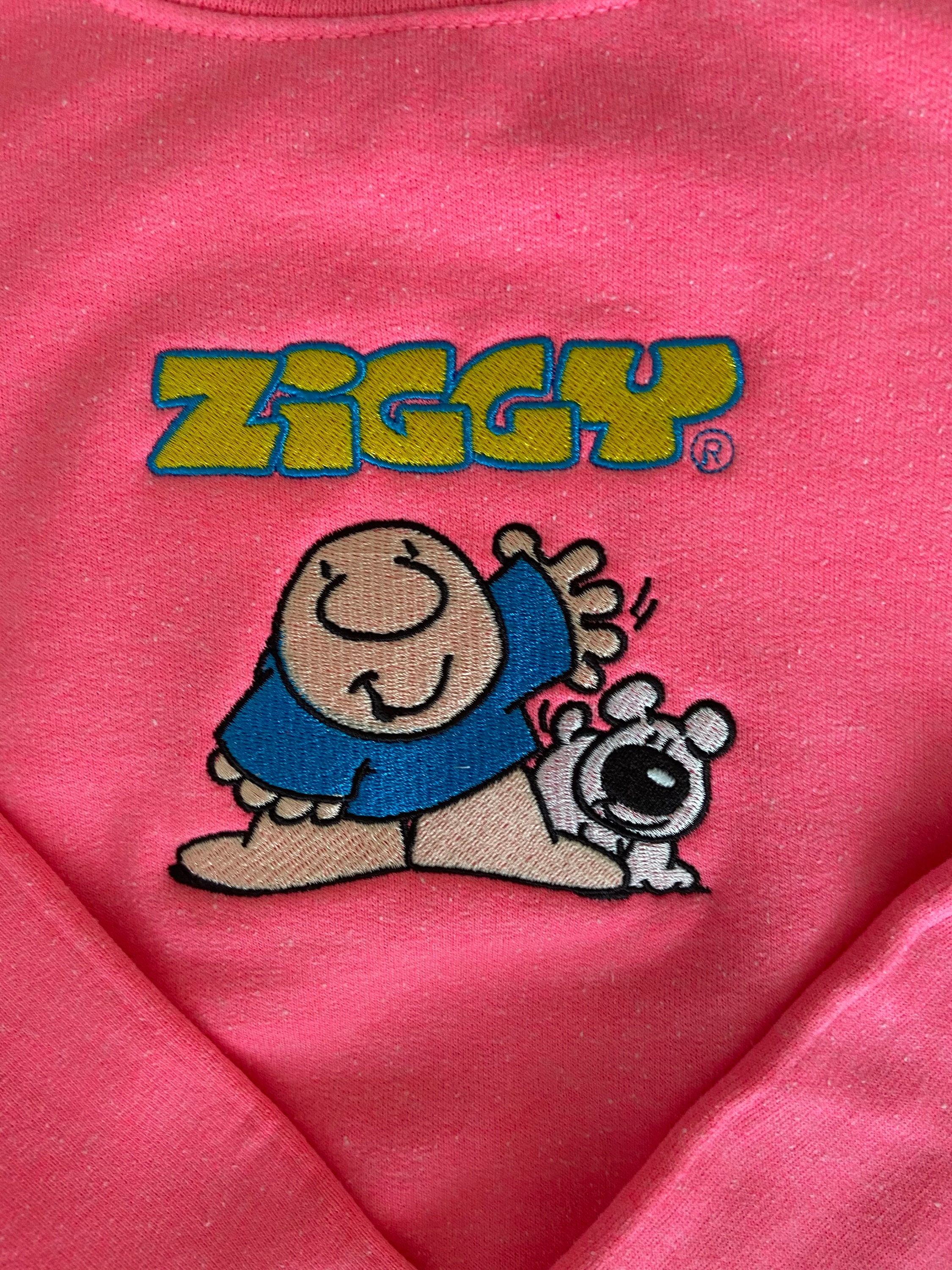 Ziggy Comics Etsy