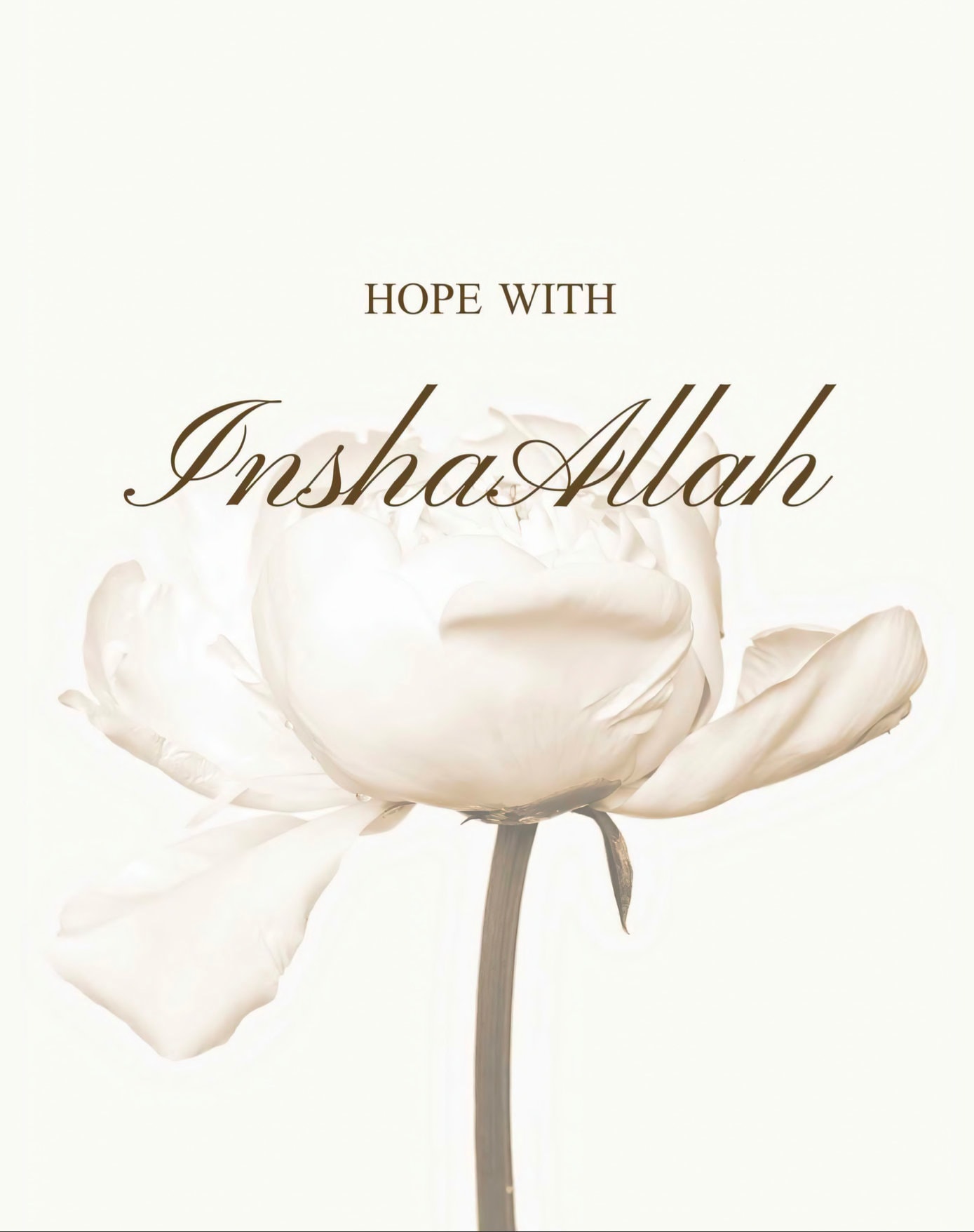 Islam Wall Art, Hope With Inshallah Rose, Digital Print, Minimalist ...