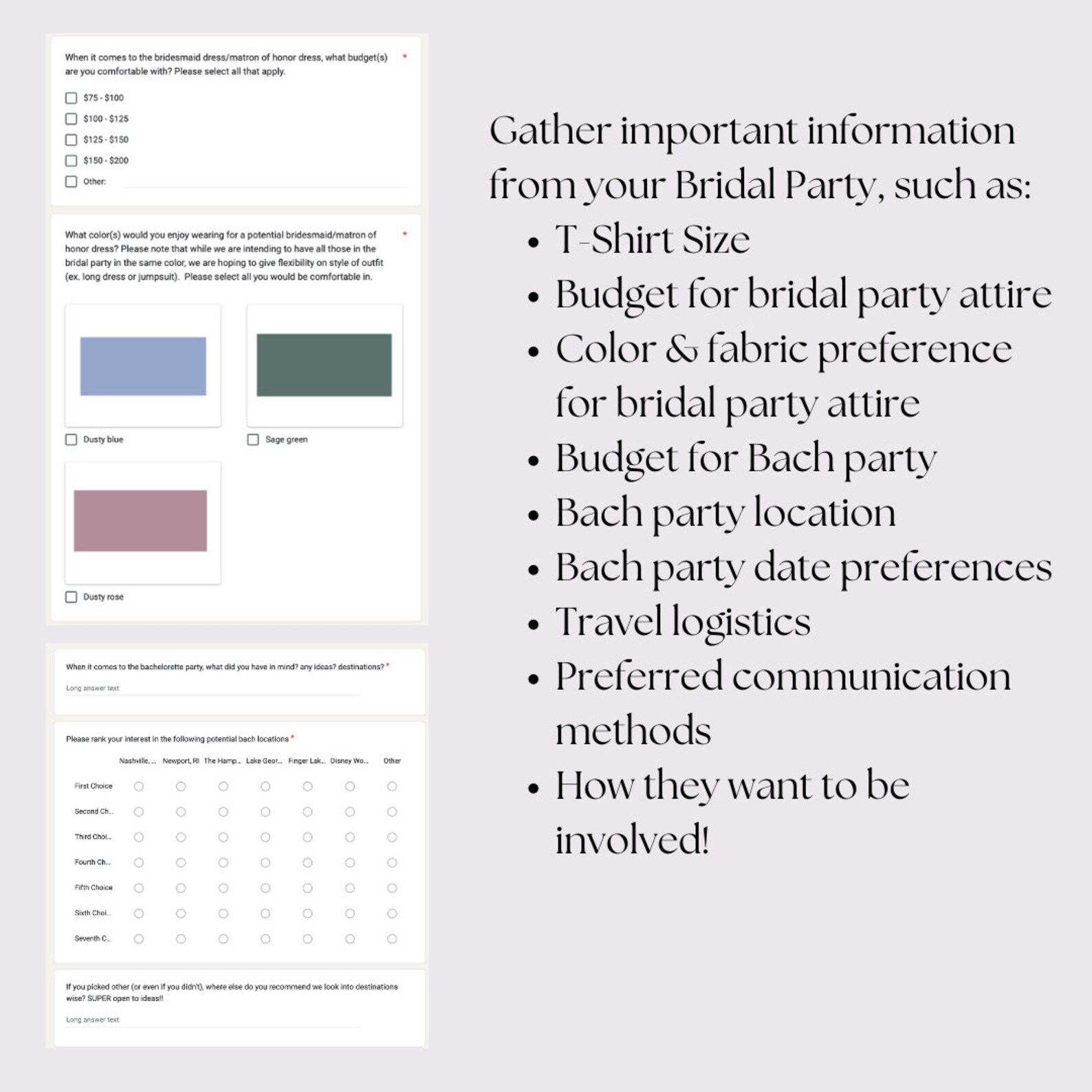 The Ultimate Bridal Party Planning Survey Bach Party - Etsy