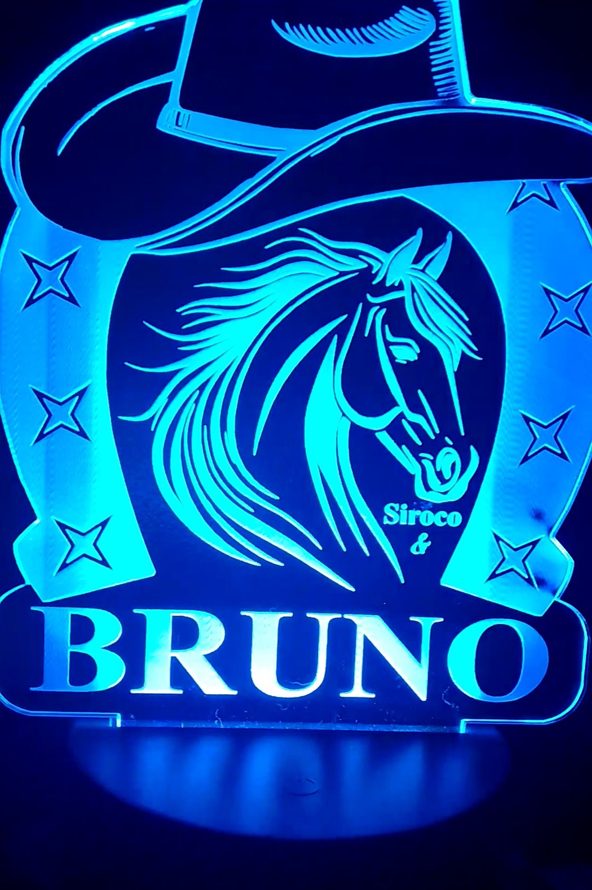 Personalized LED Lamp LED With Names Lucky Horseshoe Lamp - Etsy