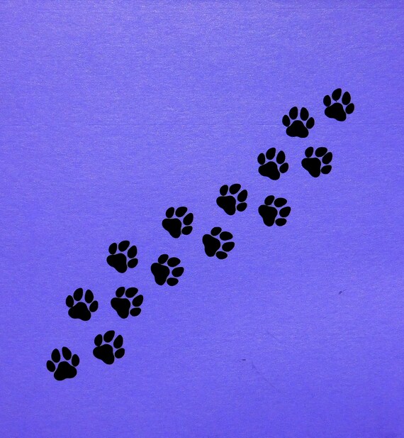 Colorful Paw Prints Trail