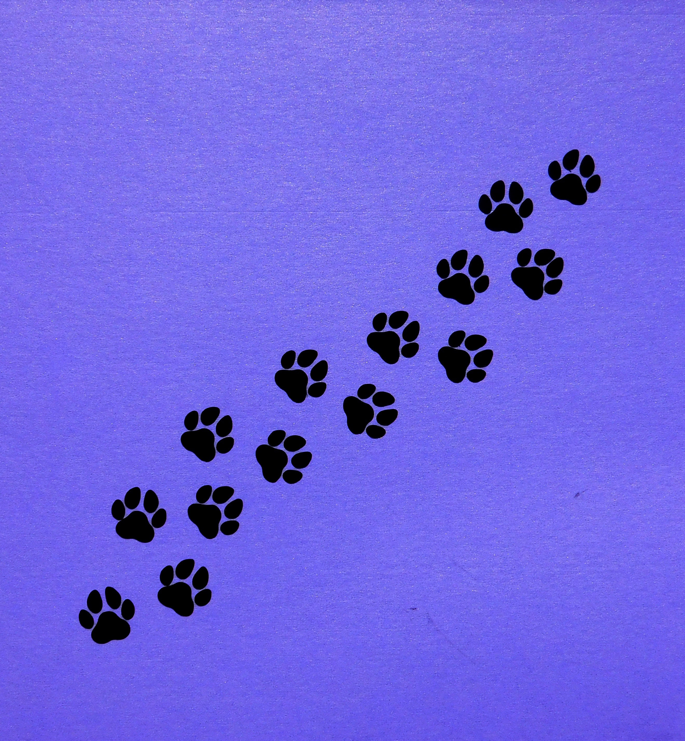 Black Vinyl Paw Print Trail Paw Prints Black Vinyl Tumbler Cup Mug Car ...