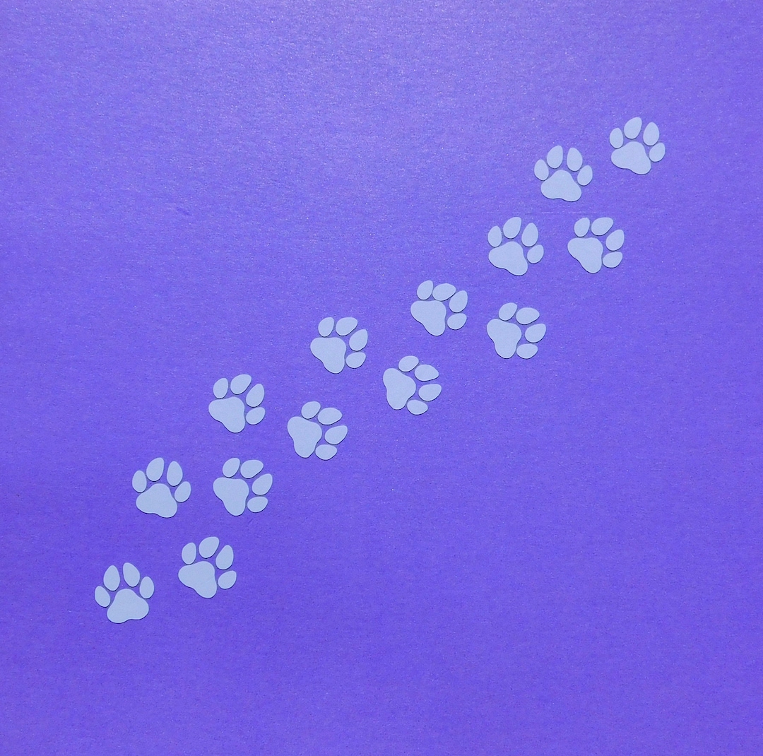 White Vinyl Paw Print Trail Paw Prints White Vinyl Tumbler Cup Mug Car ...