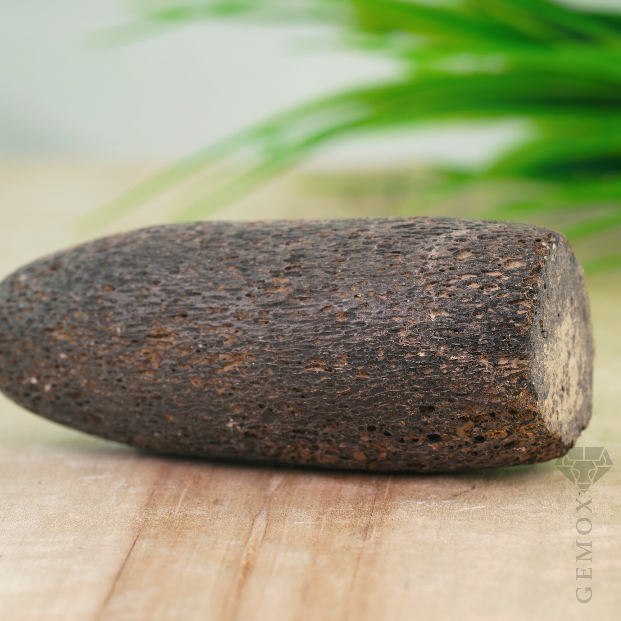 Genuine Dinosaur Bone 77g. Rare Fossilized Natural Plesiosaurus Dino ...