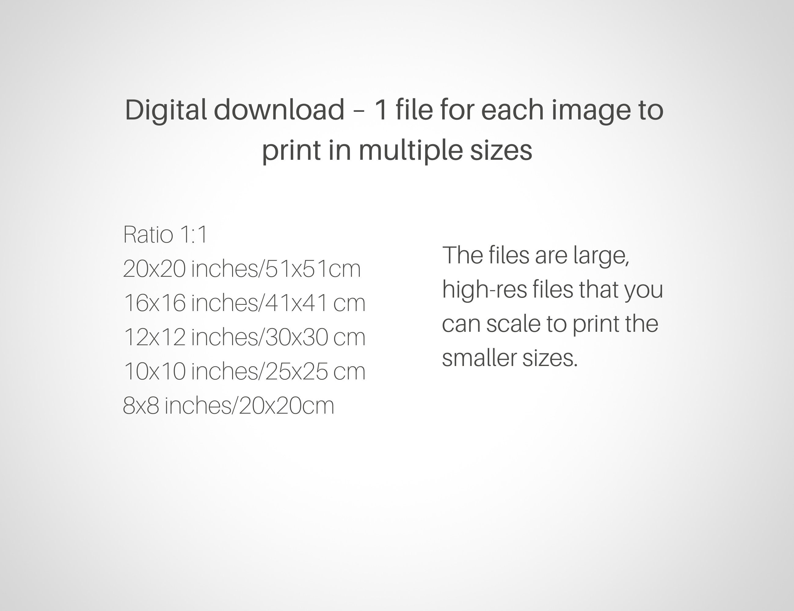 Printable Flower Wall Art, Set of 4, Floral Prints, Living Room Wall ...