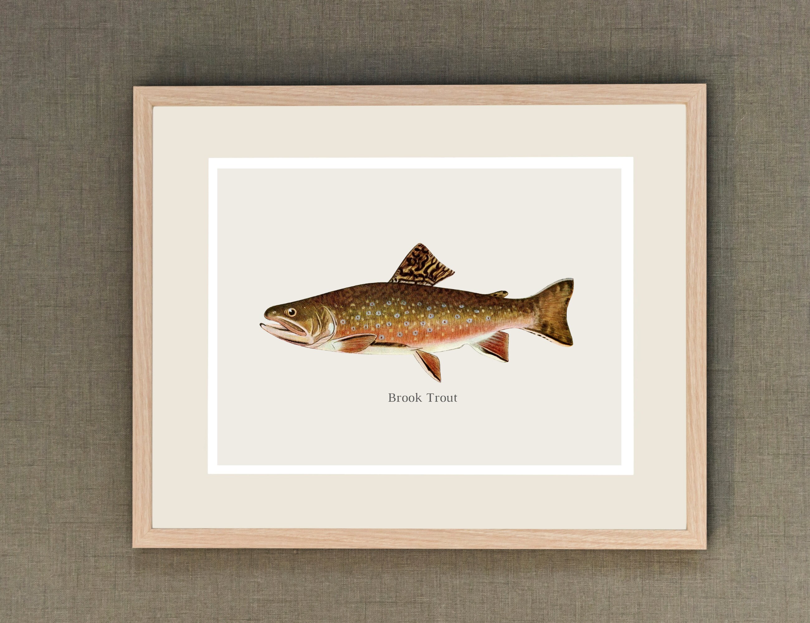 Printable Freshwater Fish Art Prints, Set of 4, Fishing Wall Art ...