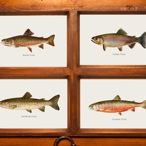 Printable Freshwater Fish Art Prints, Set of 4, Fishing Wall Art ...