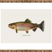 Printable Freshwater Fish Art Prints, Set of 4, Fishing Wall Art ...