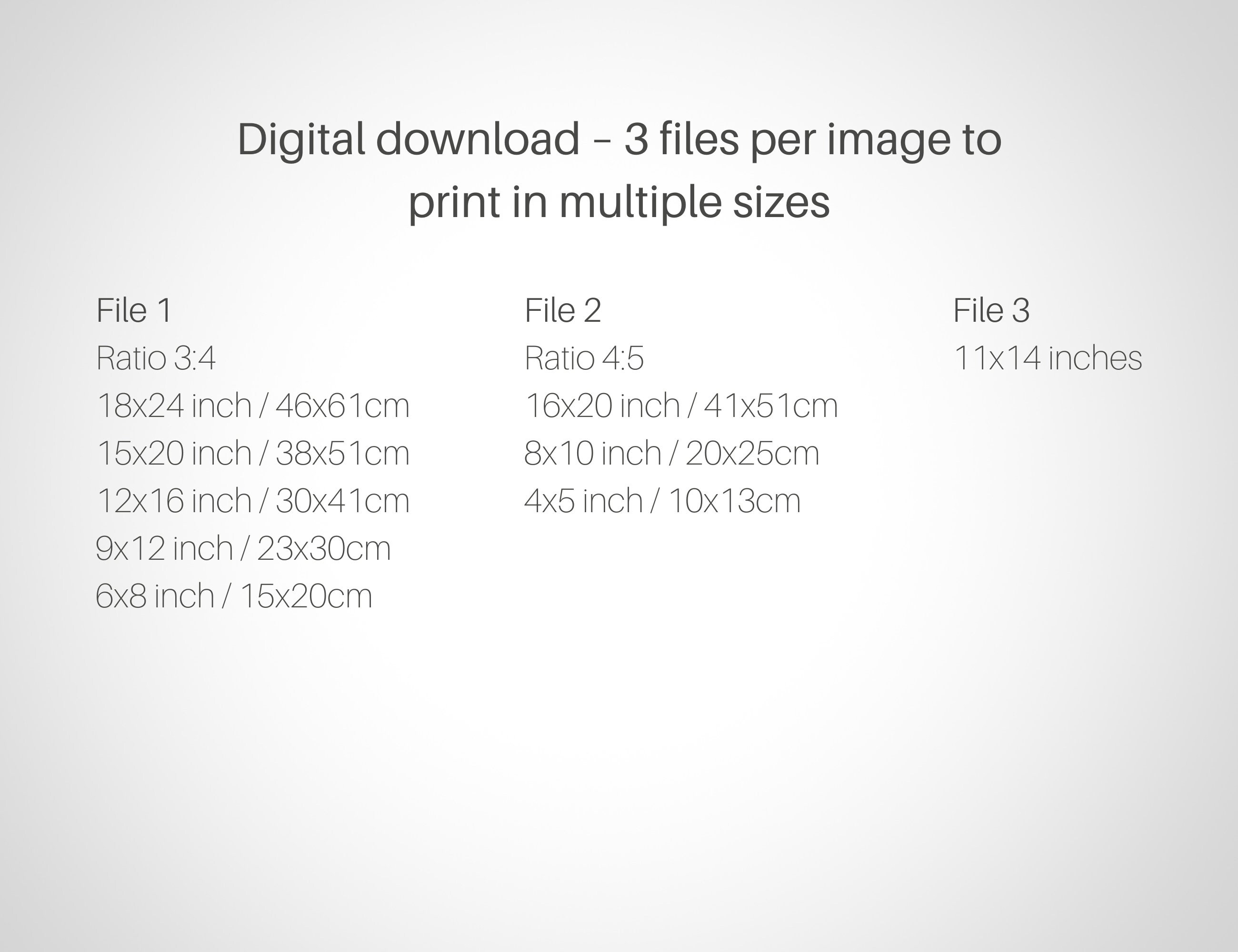 Printable Freshwater Fish Art Prints, Set of 4, Fishing Wall Art ...