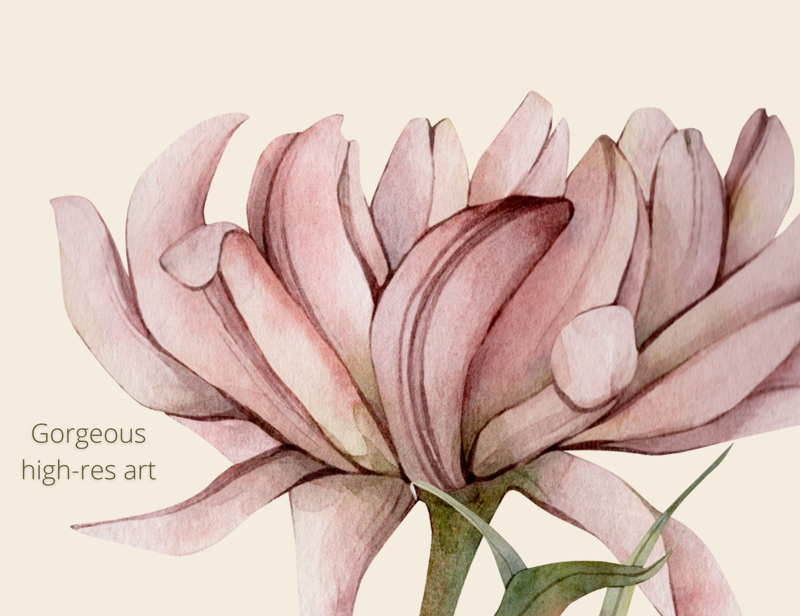 Printable Flower Wall Art, Set of 4, Floral Prints, Living Room Wall ...