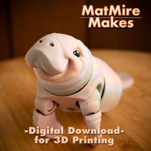 Manatee Digital .STL File for 3d Printing, Articulated Fidget Figure ...