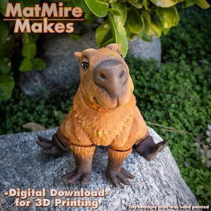Capybara Digital .STL File for 3d Printing, Articulated Fidget Figure ...