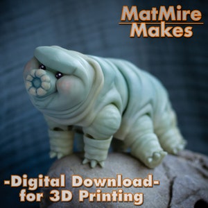 Tardigrade Digital .STL File for 3d Printing, Water Bear, Moss Piglet ...