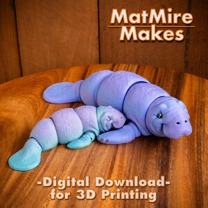 Manatee Digital .STL File for 3d Printing, Articulated Fidget Figure ...