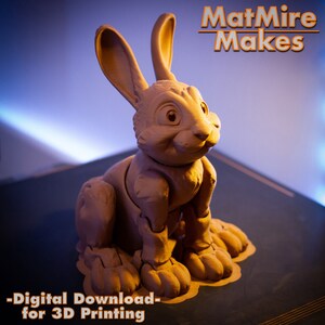 Bunny Rabbit Digital .STL File for 3d Printing, Articulated Fidget ...