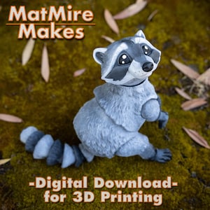 Raccoon Digital .STL File for 3d Printing, Articulated Fidget Figure ...