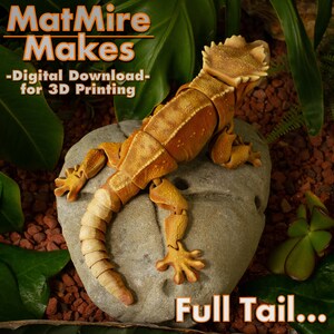 Crested Gecko Digital .STL File for 3d Printing, Articulated Fidget ...