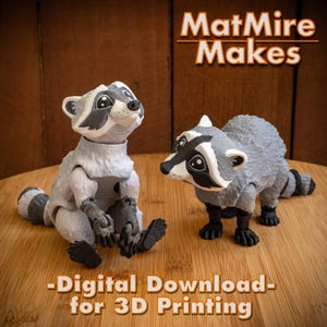 Raccoon Digital .STL File for 3d Printing, Articulated Fidget Figure ...