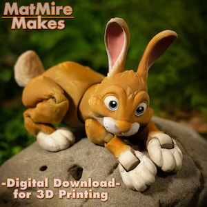 Bunny Rabbit Digital .STL File for 3d Printing, Articulated Fidget ...
