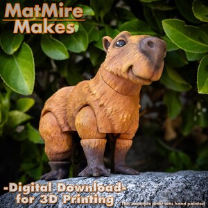Capybara Digital .STL File for 3d Printing, Articulated Fidget Figure ...