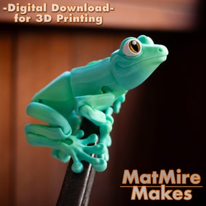 Tree Frog Digital .STL File for 3d Printing, Articulated Fidget Figure, Cute Flexi - Etsy