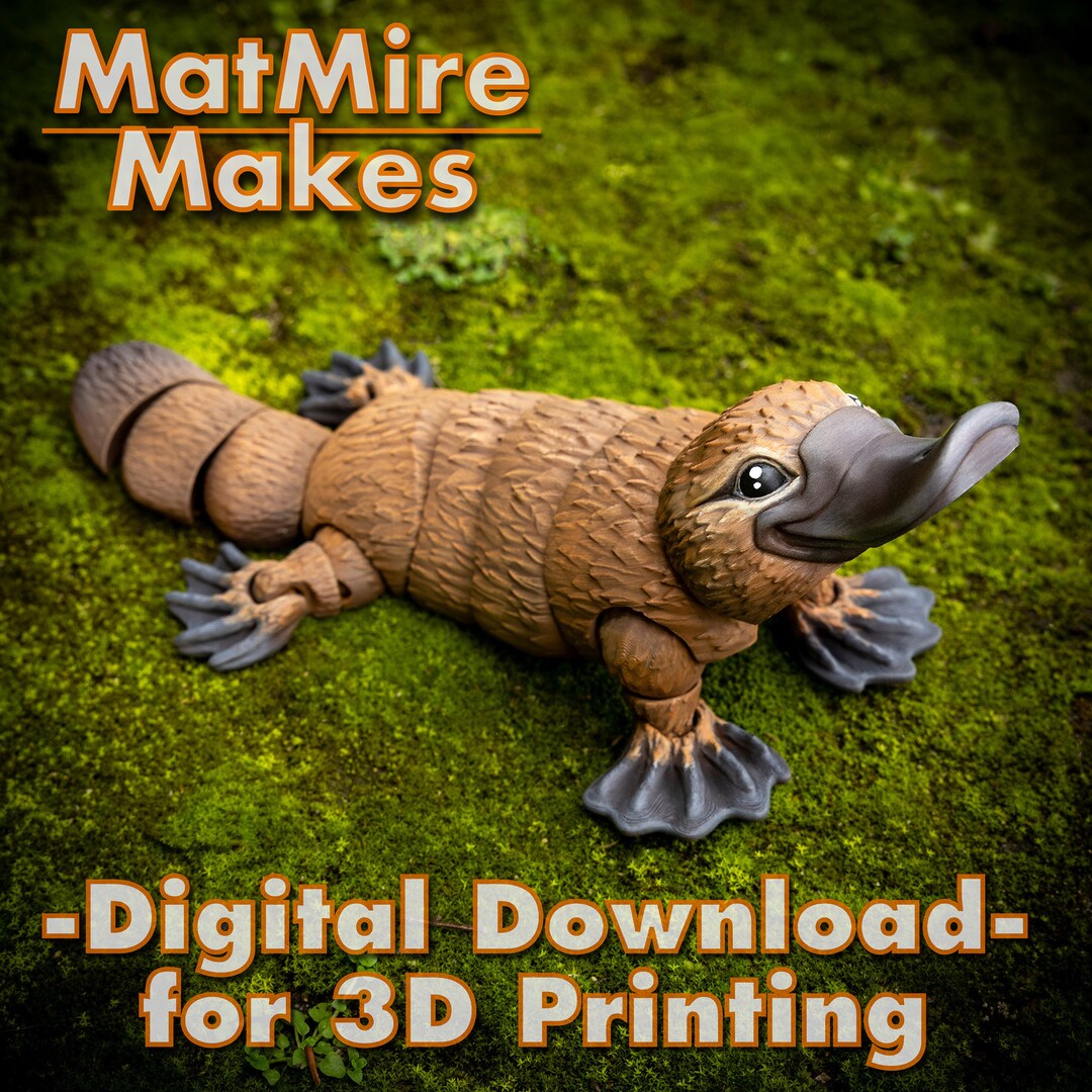 Platypus Digital .STL File for 3d Printing, Articulated Fidget Figure ...