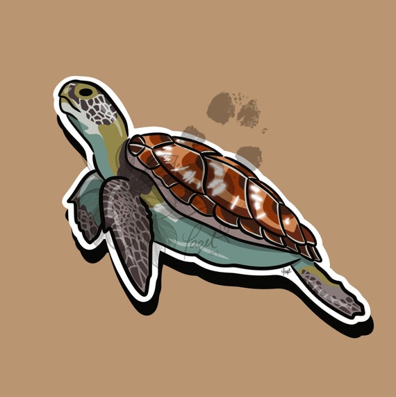 Sea Turtle Sticker - Etsy