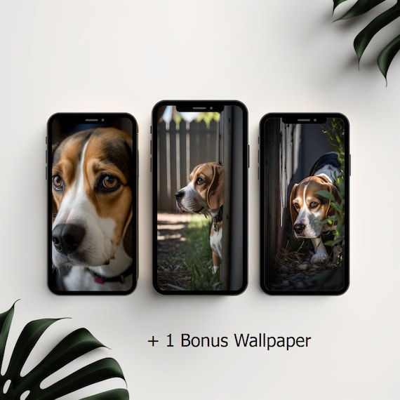 Beagle Wallpaper Iphone