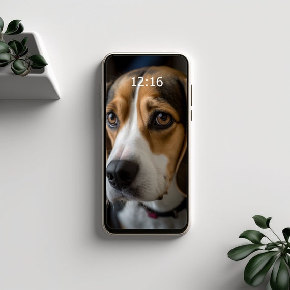 Beagle Wallpaper Iphone