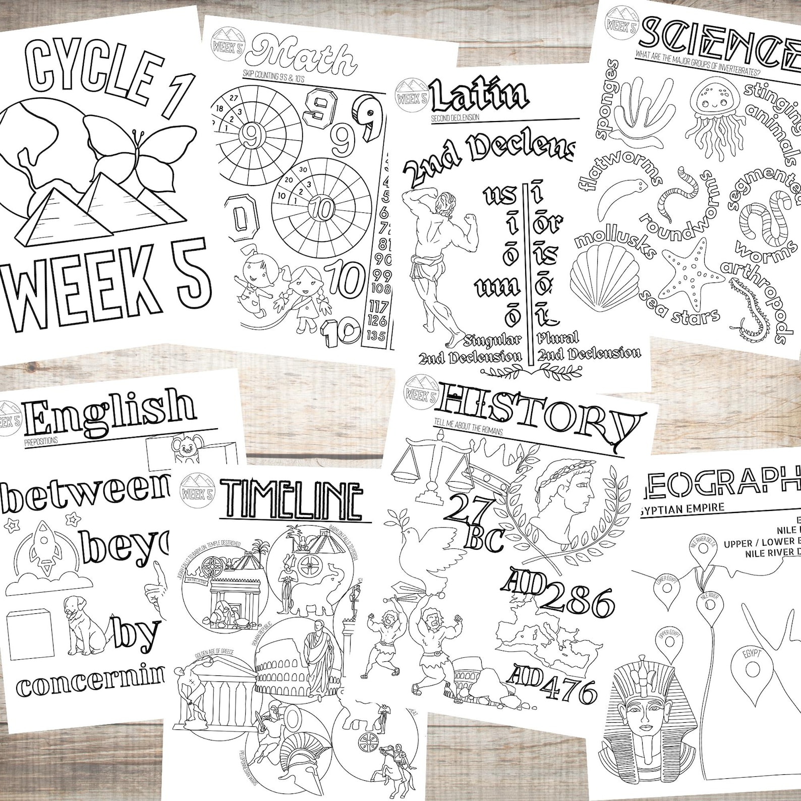 Cycle 1 Memory Work Coloring Pages | Homeschool Printable Pack for ...