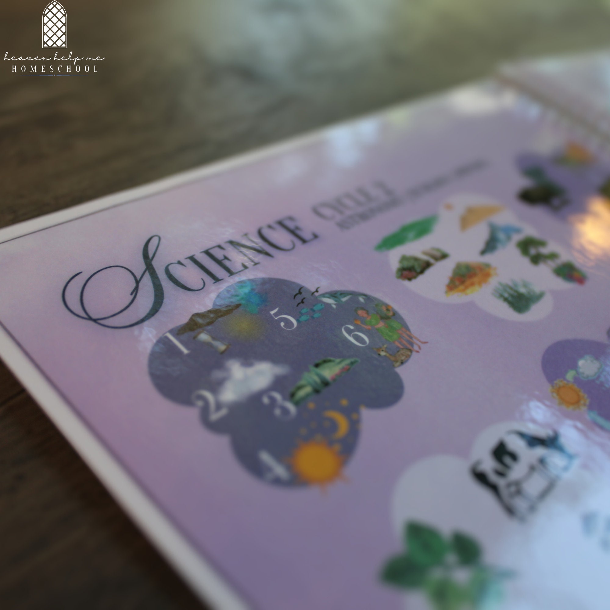 Cycle 1 Cycle 2 Cycle 3 CC Grammar Classical Conversations Memory Work ...