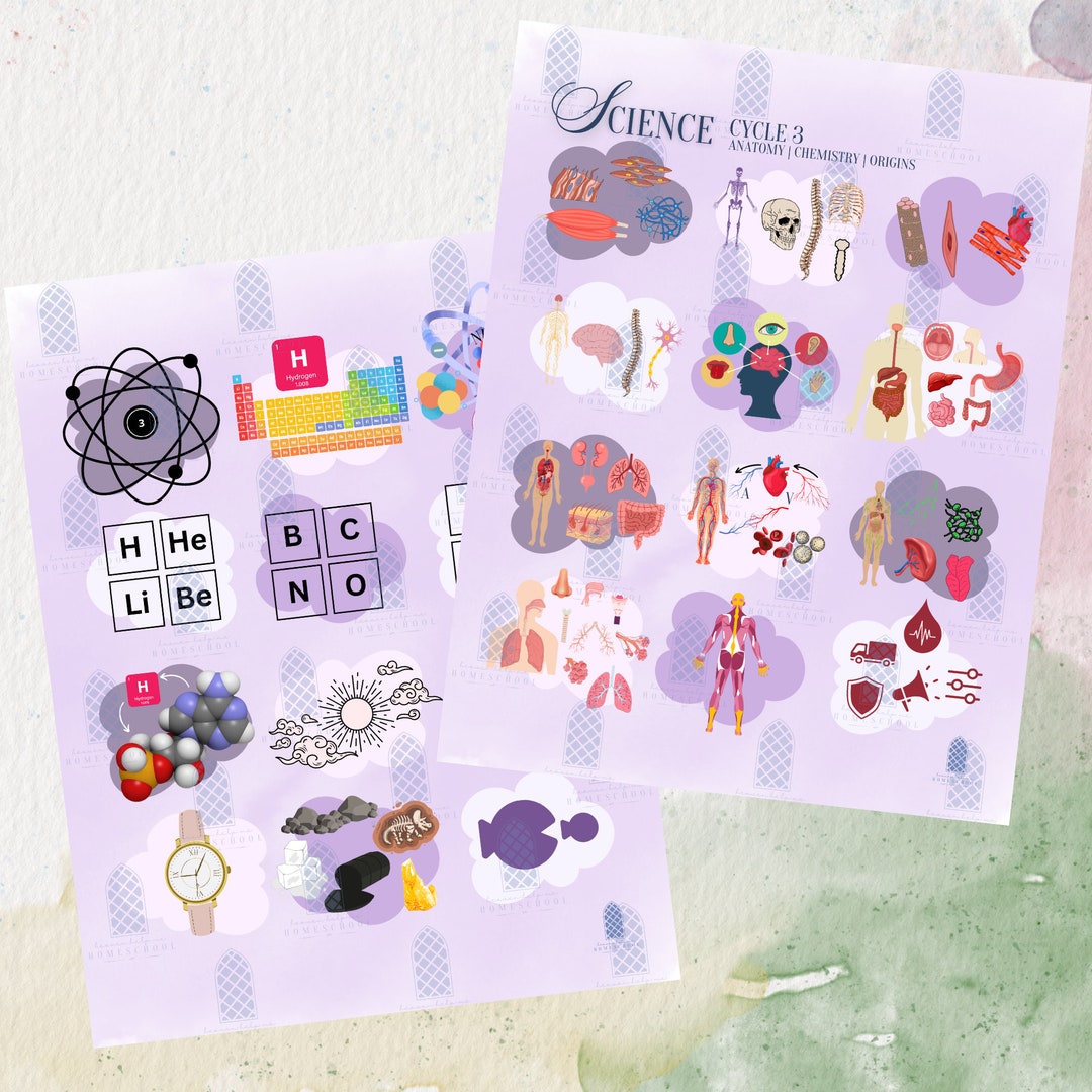 Cycle 3 Science Grammar Companion, New Grammar, Classical Conversations ...