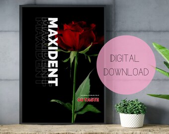 Maxident Mini Poster - Etsy